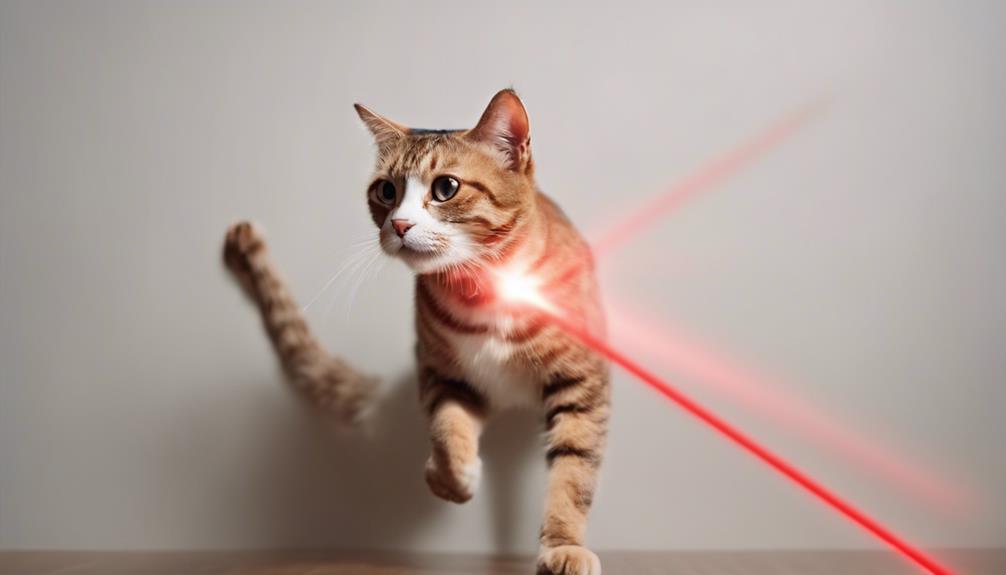 Are Laser Pointers Bad For Cats